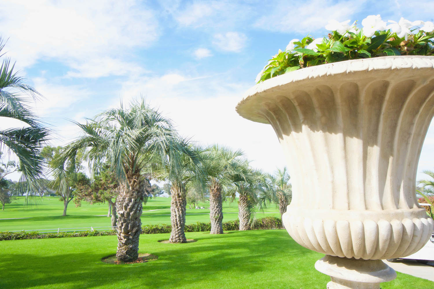 Vivo Landscape – Commercial Landscaping